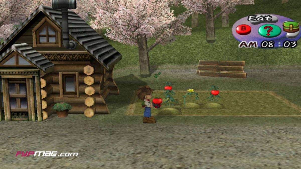 Buku Panduan Harvest Moon (AWL) Bahasa Indonesia | NgeRank.com
