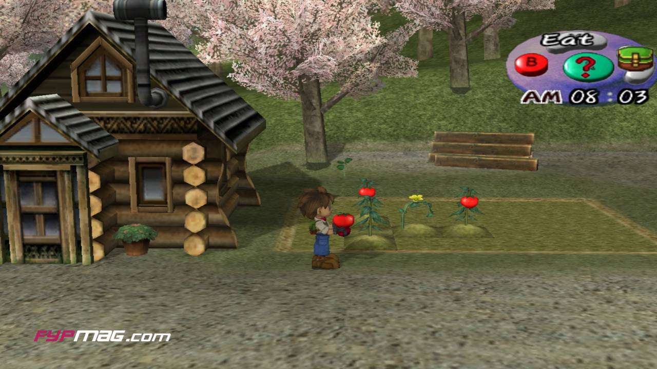 Buku Panduan Harvest Moon (AWL) Bahasa Indonesia | NgeRank.com